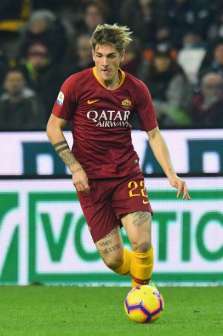 尼科洛·扎尼奥洛_百度百科