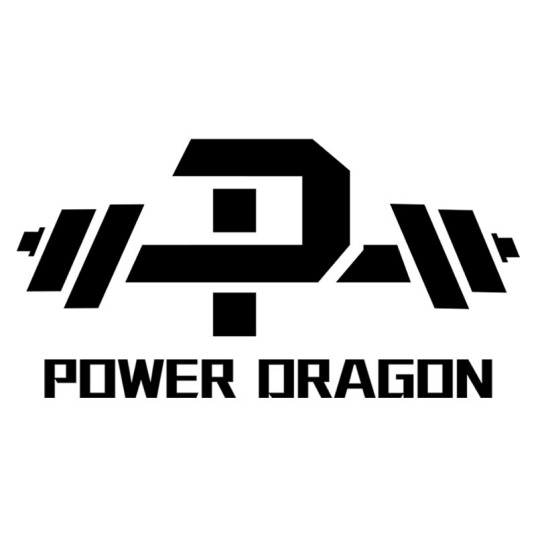 POWER DRAGON_百度百科