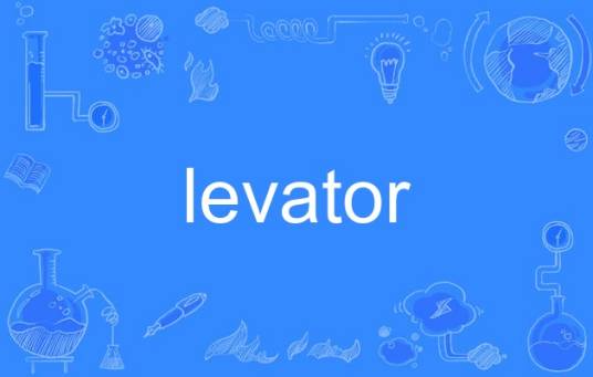 levator_百度百科