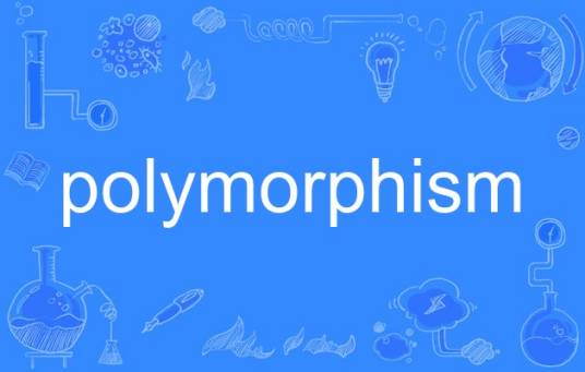 polymorphism（英语单词）_百度百科