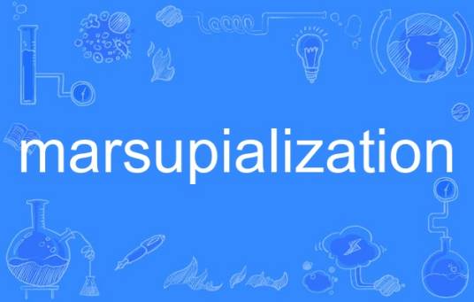 marsupialization_百度百科