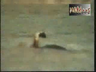 尚普兰湖怪_百度百科