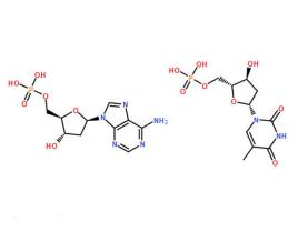 Oligo(dT)_百度百科