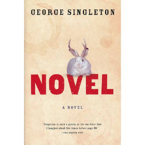 Novel（2011年Houghton Mifflin Harcourt出版的图书）_百度百科