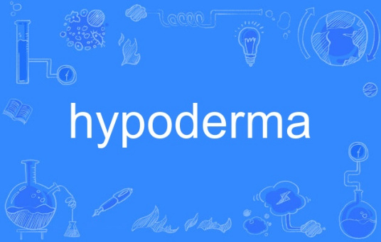 hypoderma_百度百科