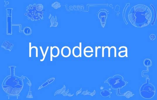 hypoderma_百度百科