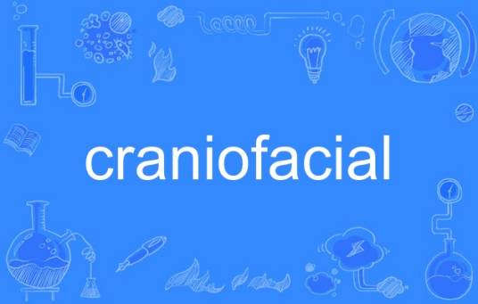 craniofacial_百度百科