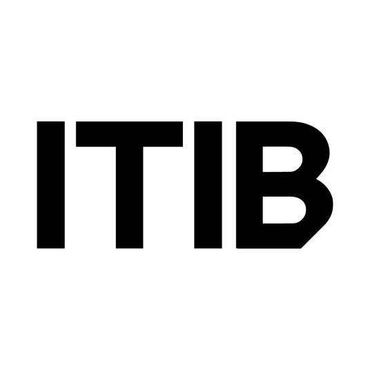 ITIB_百度百科