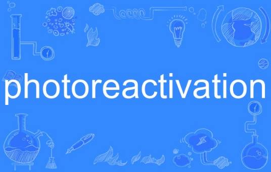 photoreactivation_百度百科