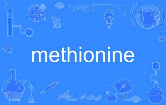 methionine_百度百科