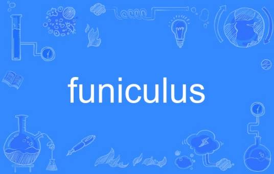funiculus_百度百科