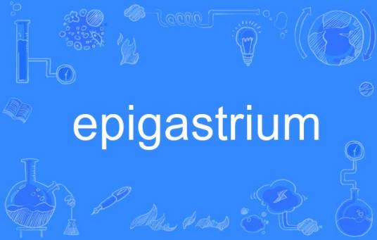 epigastrium_百度百科