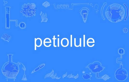 petiolule（英语单词）_百度百科