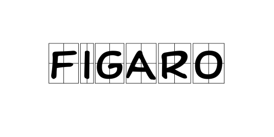FIGARO（英语词汇）_百度百科