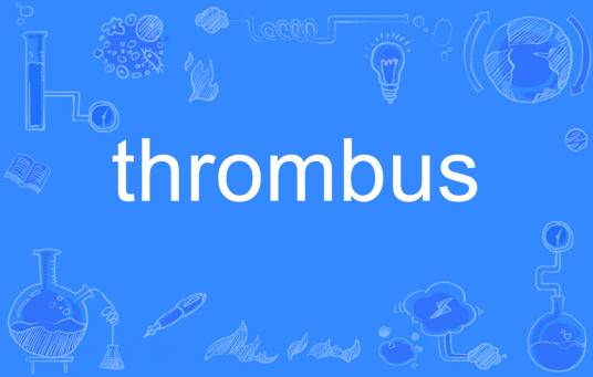 thrombus_百度百科