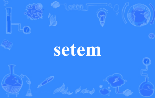 setem（英文单词）_百度百科