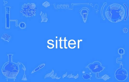 sitter_百度百科