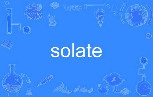 solate_百度百科