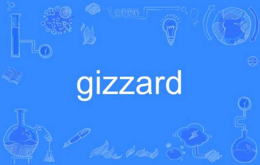 gizzard_百度百科