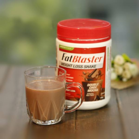 Fat Blaster_百度百科