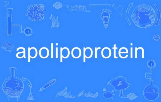 apolipoprotein_百度百科
