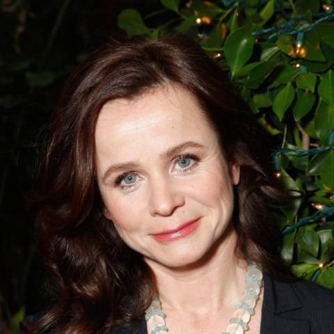 安娜·卡列尼娜（英国2012年乔·怀特执导电影）_百度百科