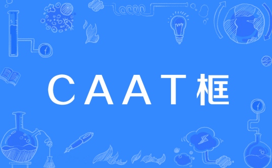 CAAT框_百度百科