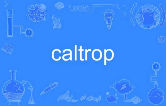 caltrop_百度百科