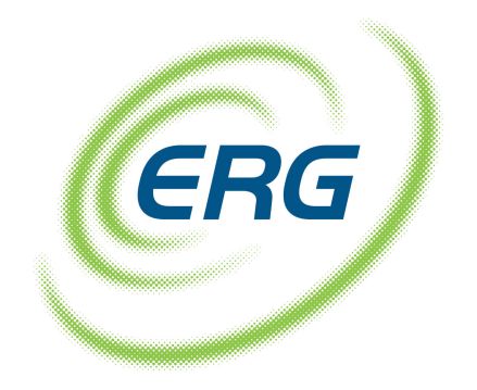 ERG 石化集团_百度百科