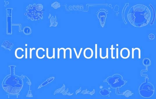 circumvolution_百度百科
