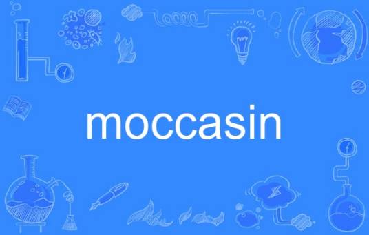 moccasin_百度百科