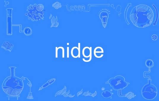 nidge_百度百科