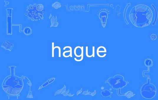 hague_百度百科