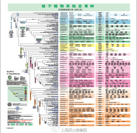 APG IV系統_百度百科