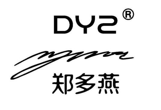 DYZ_百度百科