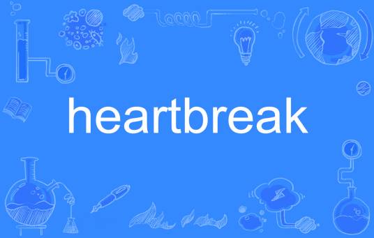 Heartbreak（英语名词，指极度伤心的状态）_百度百科
