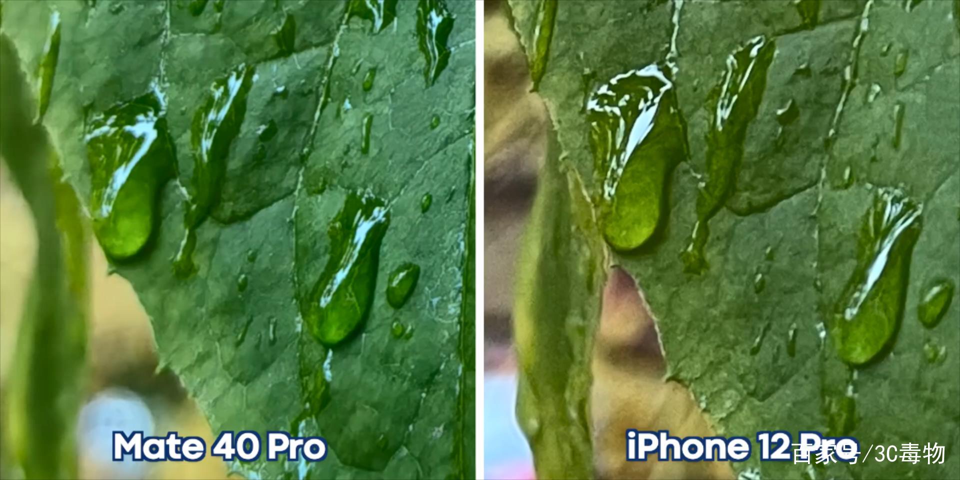 华为Mate4Pro和iPhone12Pro拍照对比：差距比想象的大多了_百科TA说