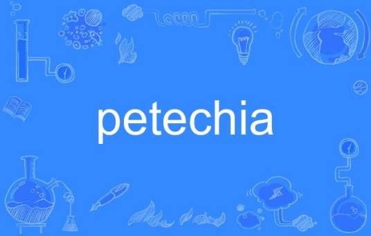 petechia_百度百科