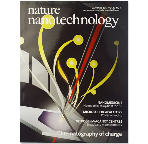 Nature Nanotechnology_百度百科