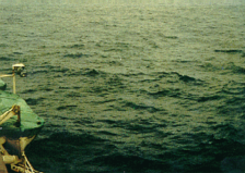 4级风_百度百科