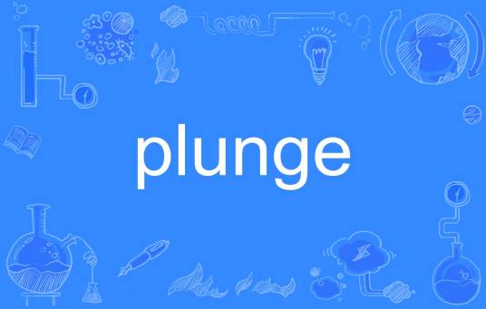 plunge（英语单词）_百度百科
