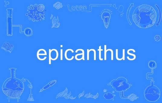 epicanthus_百度百科
