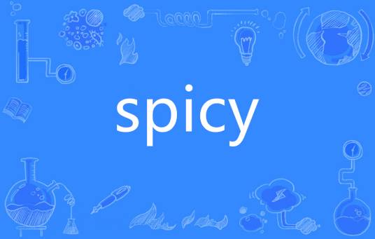 Spicy（英语单词）_百度百科
