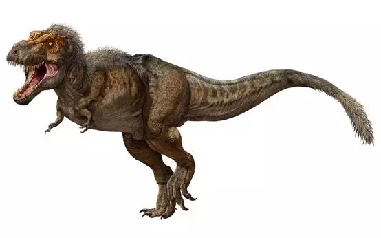 见见霸王龙幼崽吧_百科TA说