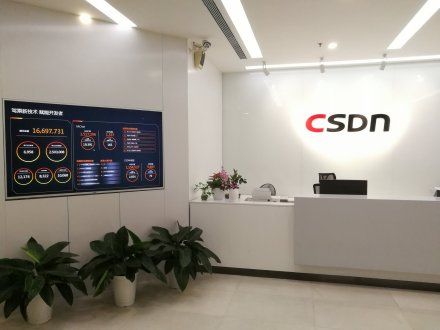 CSDN_百度百科