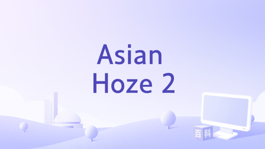 Asian Hoze 2_百度百科