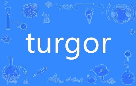 turgor_百度百科
