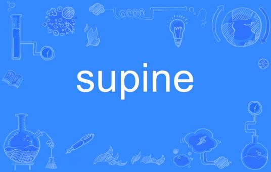 supine_百度百科