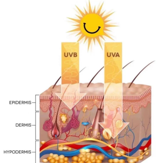 UVA/UVB_百度百科