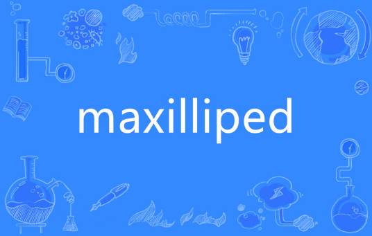 maxilliped_百度百科
